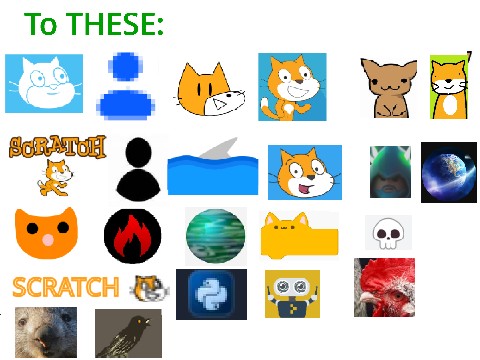 Free to take profile pictures!!!! Everything Edition