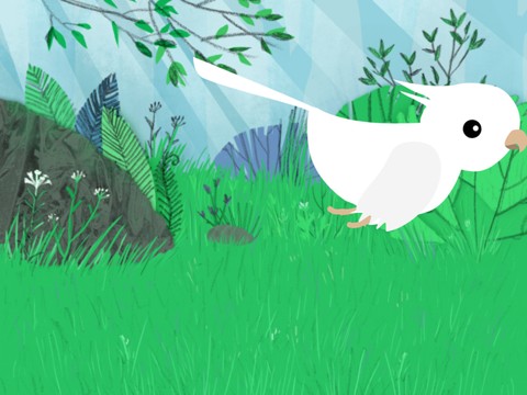 Bird Animation