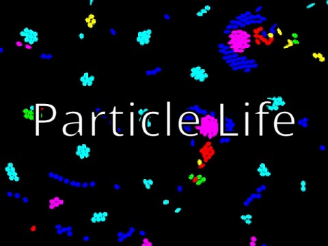 Particle Life Simulation