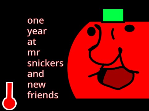 one year at mr snickers and new friends