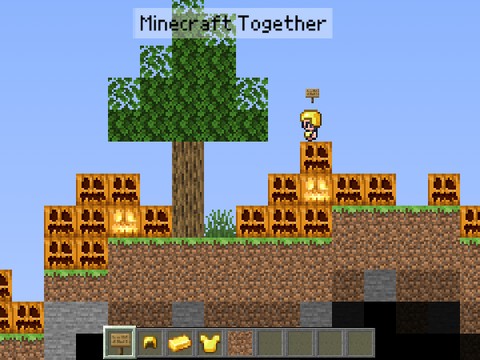 Minecraft Together
