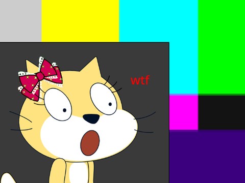 Stephanie cat watches my project