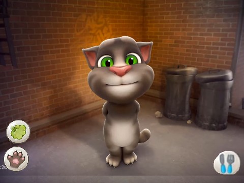 talking tom cat