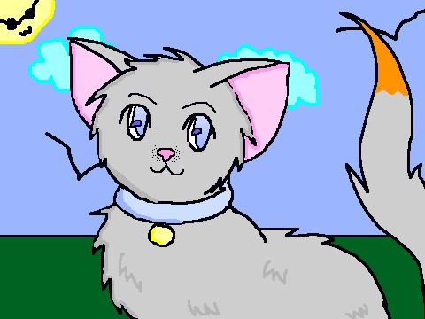 SC'S Cat Colouring Contest!