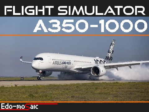 Flight Simulator /Airbus A350-1000 / 2D