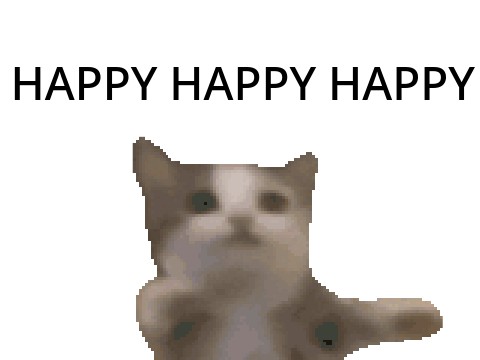 happy happy happy cat