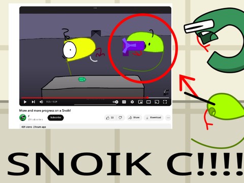 IS THAT SNOIK C??!!
