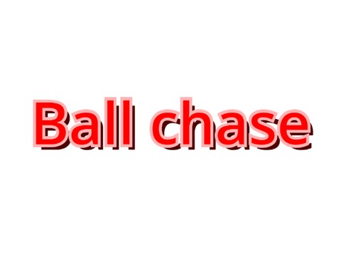 Ball chase
