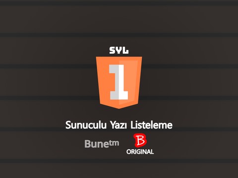 SYL 1- Online Sunucu