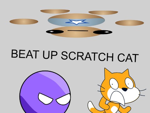 Beat up scratch cat