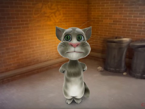 Talking tom cat