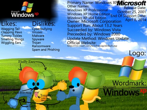 Windows XP Ref Sheet