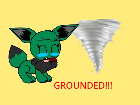 Anti Sally misbehaves during a tornado warning/GROUNDED