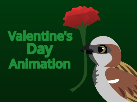 Valentine's Day Animation