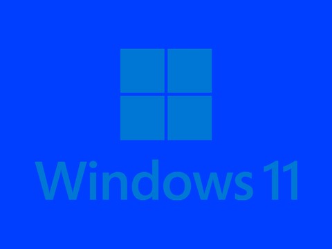 Windows 11.EXE Buttons A Reboot