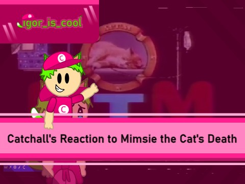 Catchall's Reaction to Mimsie the Cat's Death